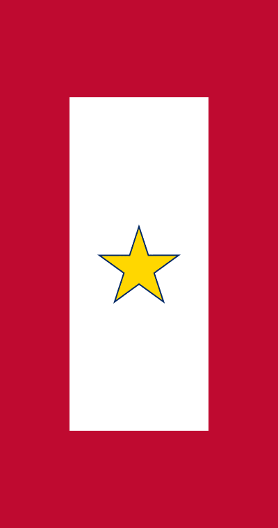 Blue and Gold Star Banners and Markers Honoring our Armed Forces and ...